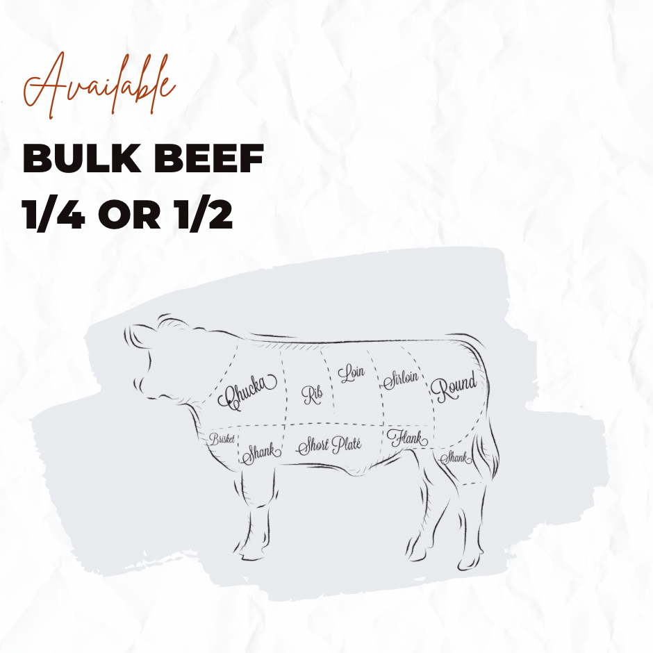 Available Bulk Beef – Long-Run Ranch Beef